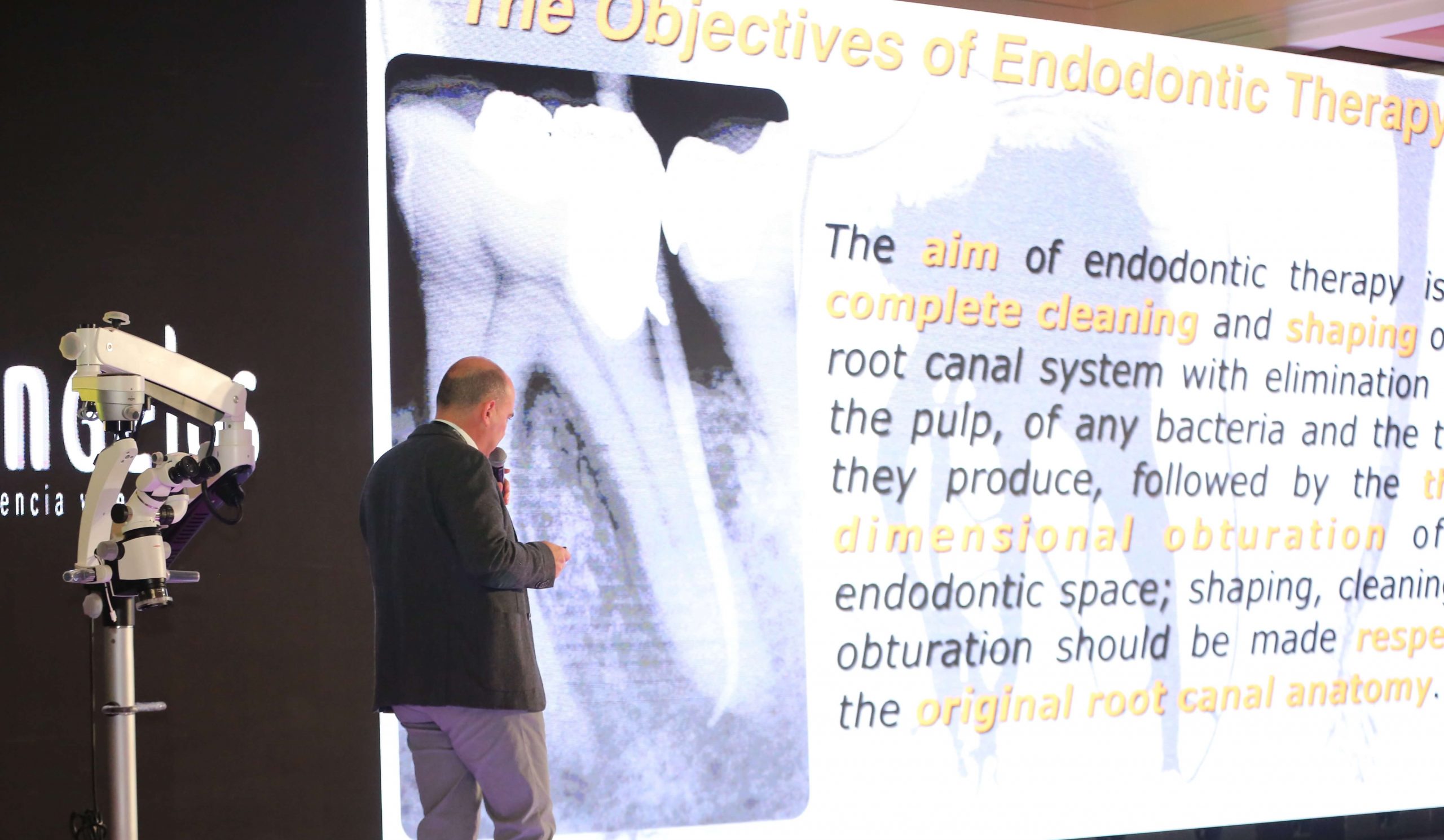 Style Italiano Endodontics - AlKaram Dental